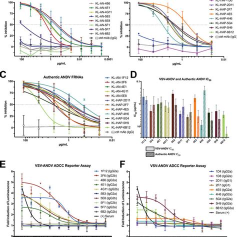 Mab Characteristics Neutralization Affinity Effector Functions And