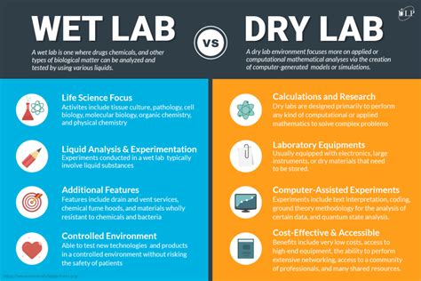 Wet Lab Vs Dry Lab For Your Life Science Startup