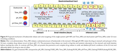 Colon Targeted Delivery Of Budesonide Using Dual Ph And Time Dependen Dddt