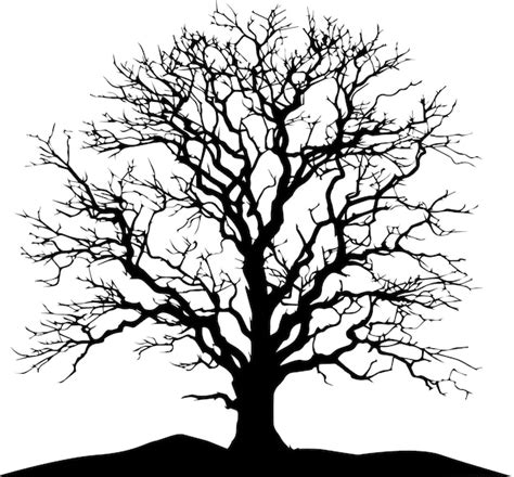 Premium Vector Naked Tree Vector Silhouette Black Color