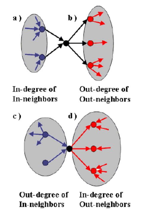 Graphical Sketch Illustrating The Degree Degree Correlation Functions