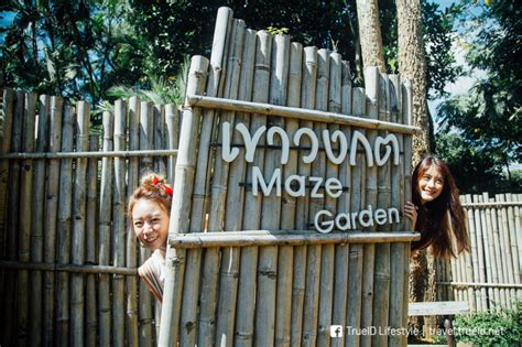 เที่ยวดอยตุง สวนแม่ฟ้าหลวง เชียงราย ชมดอกไม้เมืองหนาว ถ่ายรูปสวยๆ