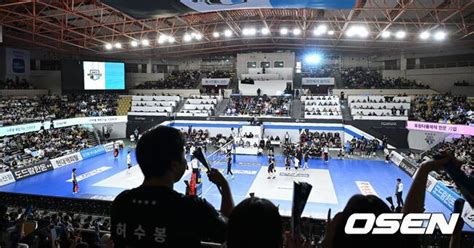 [사진]뜨거운 배구 열기 가득한 천안 유관순체육관 조선비즈