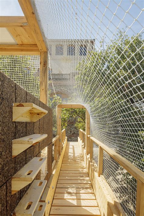 Flora Is A Mass Timber Research Pavilion In Barcelonas Forest Canopy