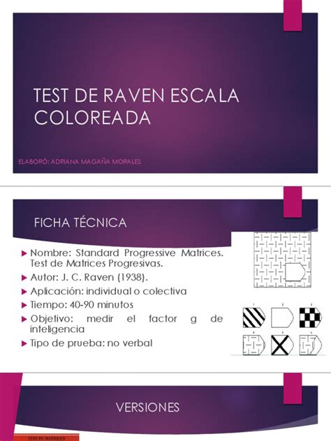 Protocolo Del Test De Raven Escala Coloreada Pdf Inteligencia