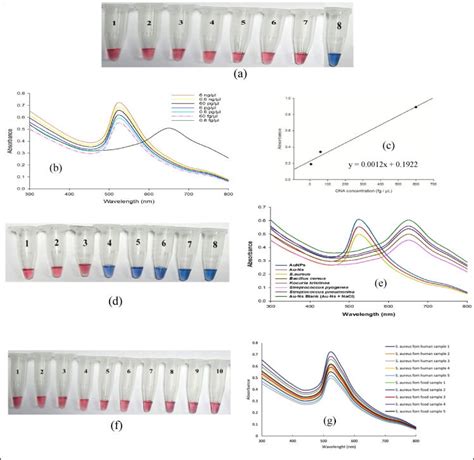 Sensitive And Selective Colorimetric Detection Of Staphylococcus Aureus Spa Gene By Engineered