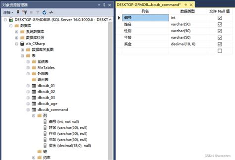 C中dataadapter对象 Csdn博客