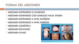 Semiologia De Abdomen 1pptxdsafvsefsafsd Pptx