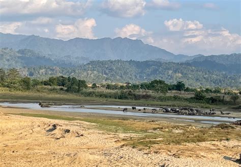 Challenging Extractivism In Kachin State From Land Of Jade To Land For The People