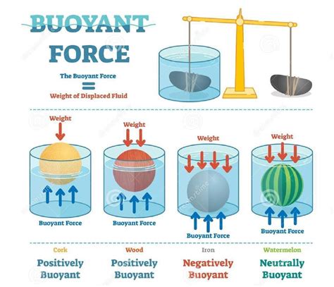 Understanding Buoyancy How Objects Float And Sink In Fluids Blue3
