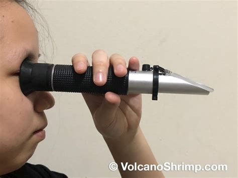 How Do I Use A Salinity Refractometer To Check The Water Salinity Of My Volcano Shrimp Opae Ula