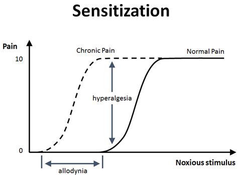 Sensitization And Its Reversal Hansma Research Group