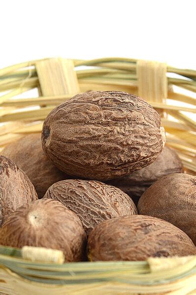 Myristicin Was Du über Diese Zutat Wissen Solltest Darf Ich Mit