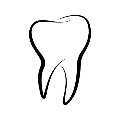 Tooth Vector Art At Getdrawings Free Download