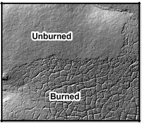 Lidar Basic Principles And Applications Remote Sensing Gis And Gps