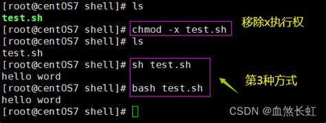 shell编程： shell脚本5种执行方式 脚本不同的执行方法和区别 shell 函数如何执行 csdn博客