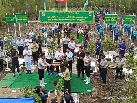 တနင်္သာရီတိုင်းဒေသကြီး မြိတ်ခရိုင်၊ ကျွန်းစုမြို့နယ်၊ ကတ္တလူကျေးရွာအနီး၌ ၂၀၂၄ခုနှစ်၊ ဇူလိုင်လ ၂၆