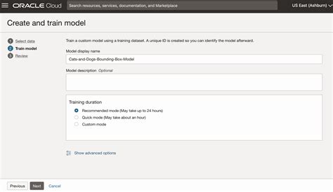Oci Vision Image Model Based On Object Detection Ora Lytics