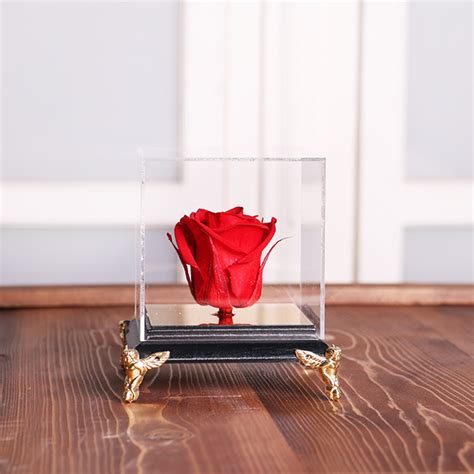 گل فروشی اینترنتی گلبیشه 🌹 خرید رز جاودان رز ماندگار رز جاویدان