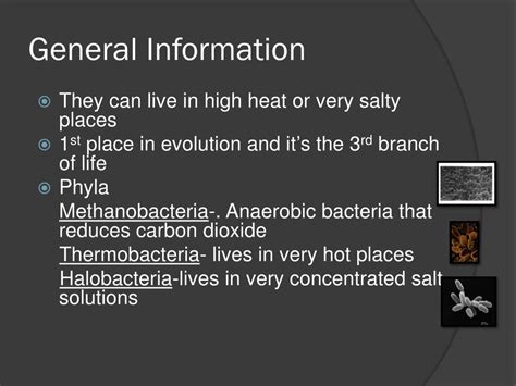 Ppt Archaea Powerpoint Presentation Free Download Id 2510713