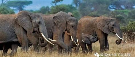 回归分析 Regression Analysis 的r方与调整后r方 Adjusted 知乎