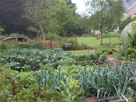 Кои са подходящите лехи за различните зеленчуци Български Фермер