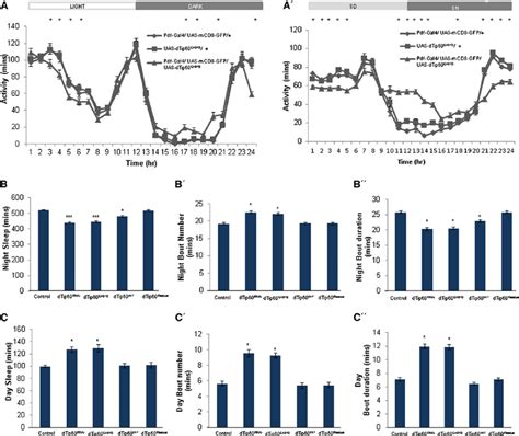 Lnv Speci Fi C Modulation Of Dtip60 Hat Activity Has No Effect On