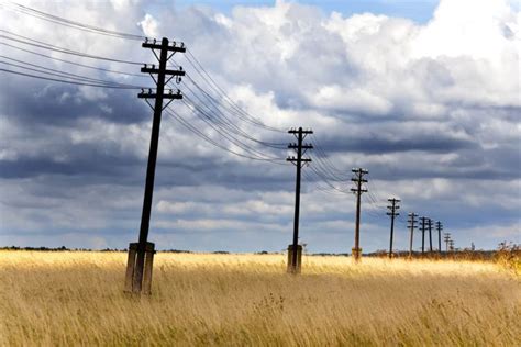 Debunking Feeder Segregation Auroville Consulting