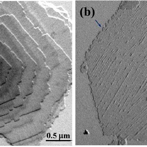Transmission Electron Micrographs Showing Lamellar Crystals Of Copes