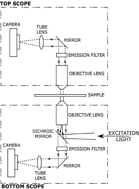 Dual Objective Multifocal Plane Microscopy The Figure Shows The Download Scientific Diagram