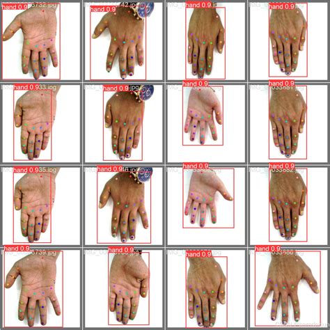 基于yolov8 Pose的手部关键点检测（2） 模型训练、结果分析和超参数优化 Yolov8 Pose 手 Csdn博客