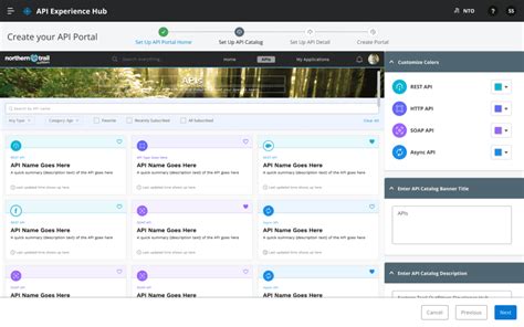 salesforce s anypoint api experience hub promises easy api adoption
