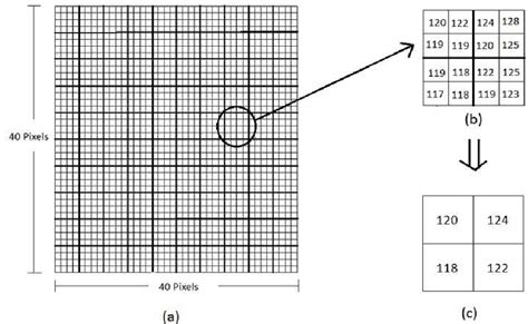 Figure 1 From Performance Of Pca Based Semi Supervised Learning In Face Recognition Using Mpeg 7