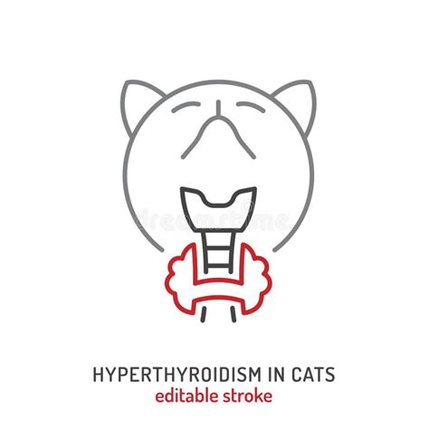 Hyperthyroidism In Cats Linear Icon Pictogram Symbol Stock Vector