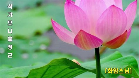 석가모니불 정근 1 시간 영인스님 Youtube