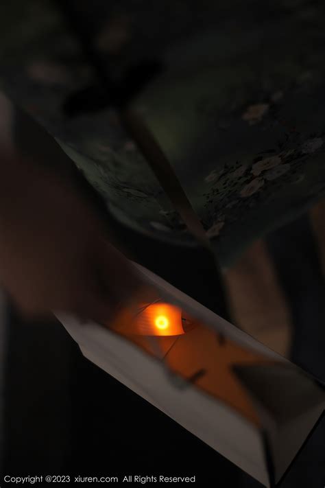 [xiuren秀人网] No 6464 Arude Weiwei 치파오 미각 V2ph