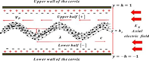 motion of micro swimmers in an electro osmotically modulated passive