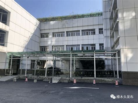樟木头镇春节期间核酸检测安排来源通知网络