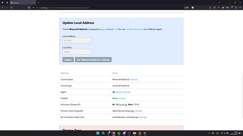 Playit Gg Setup GeyserMC