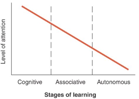Motor Learning Theory Stages Types Flashcards Quizlet
