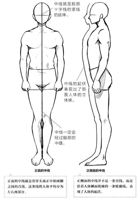 零基礎漫畫入門 草圖的泛用模型 每日頭條