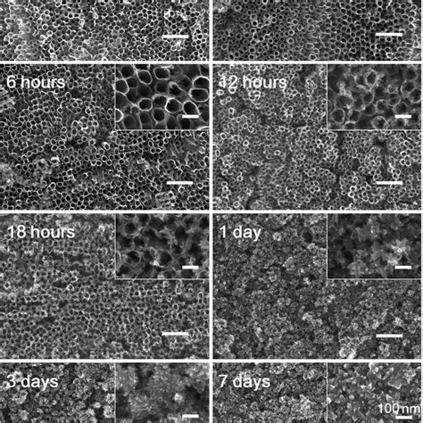 The Amorphous Titania Nanotube Arrays Ntas Will Undergo Specific