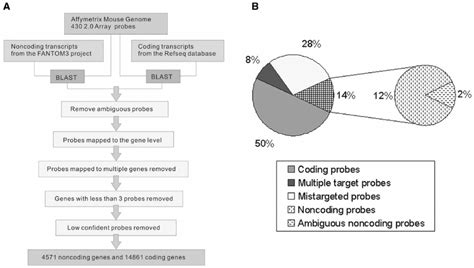Re Annotation Of Affymetrix Mouse Genome 430 20 Array Probes A