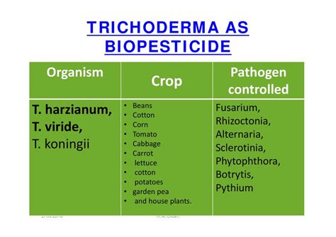 Production And Utilization Of Trichoderma