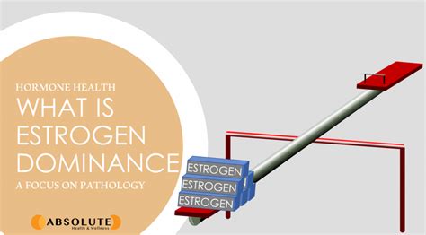 What Is Estrogen Dominance Absolute Health And Wellness