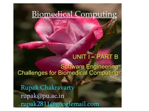 Biomedical Engineering Department In Hospital Ppt Civil Engineering Industry Industries