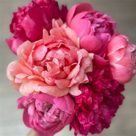 Korin U • Threads Say More