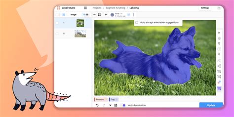 Getting Started Using Segment Anything Label Studio