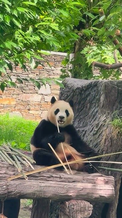 종아리를 들다 Youtube