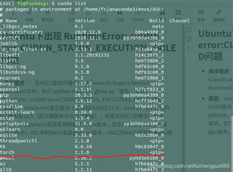 ubuntu下出现 runtimeerror cudnn error cudnn status execution failed问题 21